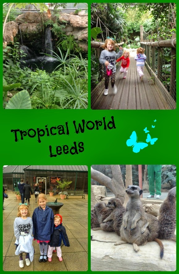 Tropical World , Leeds - Welcome To UK Family Days Out